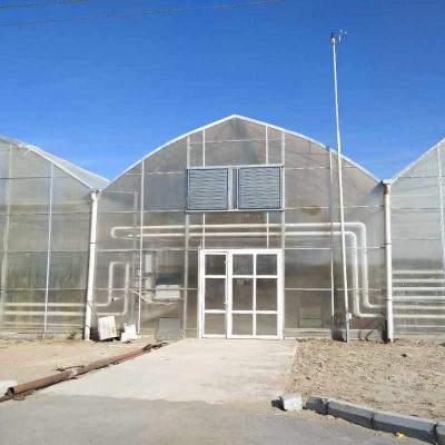China 12x20 12 X 8 12 X 6  Polycarbonate Greenhouse With Cooling System And Heating System Roof Film Side for sale