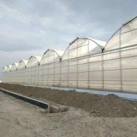 China Large Agricultural Polycarbonate Sheets Greenhouse Price From China for sale