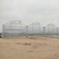 China Large Scale Multi Span PC Sheet / Board Venlo Polycarbonate Greenhouse For Flower Vegetable Plant for sale