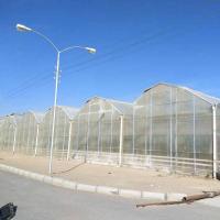 China Large Scale Multi Span PC Sheet / Board Venlo Polycarbonate Greenhouse For Flower Vegetable Plant for sale