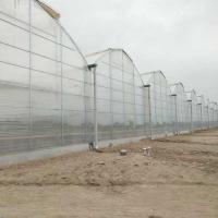 China Large Scale Multi Span PC Sheet / Board Venlo Polycarbonate Greenhouse For Flower Vegetable Plant for sale