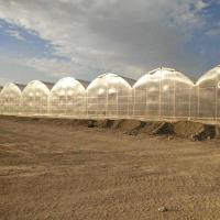 China Large Agricultural Polycarbonate Sheets Greenhouse Price From China for sale