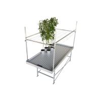 China 5x13 Feet Ebb Seedbed With Trellis Hanging Net Light For Medical Plants Rolling Greenhouse Benches for sale