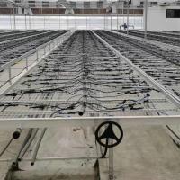 China Diy Commercial Greenhouse Rolling Benches Galvanized Steel Mesh For Orchid Nursery Flowers Irrigation for sale