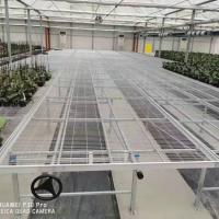 China 1.7m 1.8m Welded Wire Mesh Steel Rolling Benches Table Seedbed For Vegetable Nursery Seedling In Greenhouse for sale