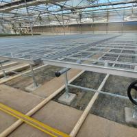 China Diy Commercial Greenhouse Rolling Benches Galvanized Steel Mesh For Orchid Nursery Flowers Irrigation for sale