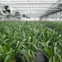 China Galvanized Expanded Metal Plant Bench Table Greenhouse For Flower Vegetable Stand for sale