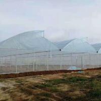 China 40 Mesh Insect Net Covered Multi Span Sawtooth Type Greenhouse  For Rose In Tropical Area for sale
