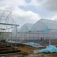 China 40 Mesh Insect Net Covered Multi Span Sawtooth Type Greenhouse  For Rose In Tropical Area for sale