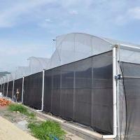 China 40 Mesh Insect Net Covered Multi Span Sawtooth Type Greenhouse  For Rose In Tropical Area for sale