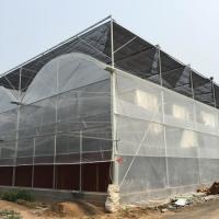 China 9m 10m Multi Span Plastic Film Greenhouse For Sale With Inner Shading System Outer Shading System for sale