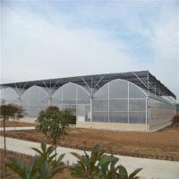 China 9m 10m Multi Span Plastic Film Greenhouse For Sale With Inner Shading System Outer Shading System for sale