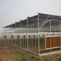 China 9m 10m Multi Span Plastic Film Greenhouse For Sale With Inner Shading System Outer Shading System for sale