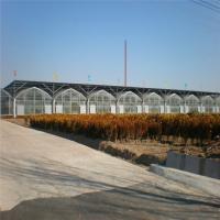 China 9m 10m Multi Span Plastic Film Greenhouse For Sale With Inner Shading System Outer Shading System for sale
