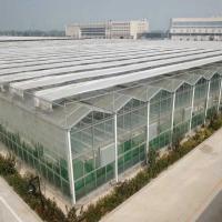 China Tomato Cucumber Lettuce Greenhouse System Venlo Agriculture With Cooling Fan Pad for sale