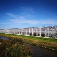 China 10x10 10x12 10x6 Aluminum Venlo Glass Greenhouse Grow Rose With Cooling System Ventilation System for sale