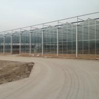 China Farming Venlo Aluminum Frame Glass Greenhouse For Agriculture Growing for sale
