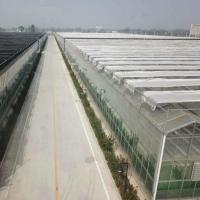 China Farm Agriculture Greenhouse Equipments Multi Span Glass Inner Outer Shading System for sale