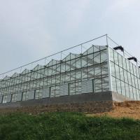 China Tomato Cucumber Lettuce Greenhouse System Venlo Agriculture With Cooling Fan Pad for sale