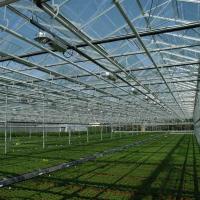 China 9.6m 10.8m 12m span venlo prefab glass greenhouse indoor for vegetable hydroponic for sale