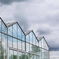 China 9.6m 10.8m 12m span venlo prefab glass greenhouse indoor for vegetable hydroponic for sale