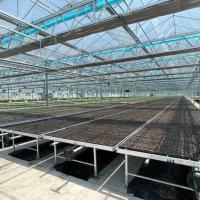 China Water Production Agricultural Greenhouse Manufacturer Growing Hydroponic System Rooling Bench System for sale