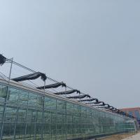 China Modular Agricultural Greenhouse For Sale Dome Roof Cover Film Side Cover Multi Span Cucumber Lettuce Growing for sale