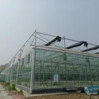 China Modular Agricultural Greenhouse For Sale Dome Roof Cover Film Side Cover Multi Span Cucumber Lettuce Growing for sale