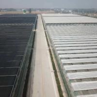 China Farm Agriculture Greenhouse Equipments Multi Span Glass Inner Outer Shading System for sale