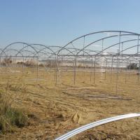 China Wave Plate Heavy Duty Polytunnel Plastic Head Roof Yellow Film Vegetable Growing for sale