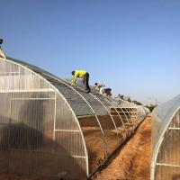 China Industrial Poly Tunnels For Gardens Head Roof Yellow Film Tunnel Greenhouse Plastic for sale