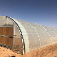 China Industrial Poly Tunnels For Gardens Head Roof Yellow Film Tunnel Greenhouse Plastic for sale