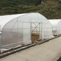 China Polycarbonate Greenhouse For Sale Single Span Greenhouse Gothic for sale