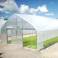 China Hot Sale High Tunnel Plastic Single Span Greenhouse Agriculture For Vegetable Farm for sale