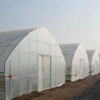 China Polycarbonate Greenhouse For Sale Single Span Greenhouse Gothic for sale