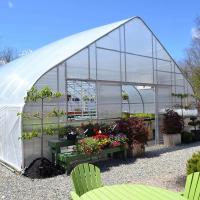 China Polycarbonate Greenhouse For Sale Single Span Greenhouse Gothic for sale