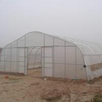 China Polycarbonate Greenhouse For Sale Single Span Greenhouse Gothic for sale
