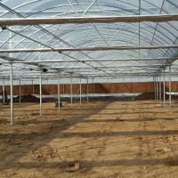 China Large Size Clear Plastic Film Greenhouse Multi Span  3-6m Gutter Height Galvanized Steel Greenhouse for sale