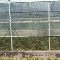 China Large Size Clear Plastic Film Greenhouse Multi Span  3-6m Gutter Height Galvanized Steel Greenhouse for sale