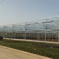 China OEM PO PE Polyethylene Film Greenhouse Multi Span 4 Season Growing For Flower for sale