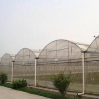 China Large Size Clear Plastic Film Greenhouse Multi Span  3-6m Gutter Height Galvanized Steel Greenhouse for sale