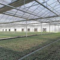 China Large Size Clear Plastic Film Greenhouse Multi Span  3-6m Gutter Height Galvanized Steel Greenhouse for sale