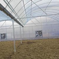 China Large Size Clear Plastic Film Greenhouse Multi Span  3-6m Gutter Height Galvanized Steel Greenhouse for sale