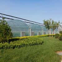 China OEM PO PE Polyethylene Film Greenhouse Multi Span 4 Season Growing For Flower for sale
