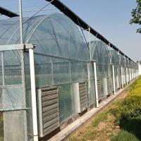 China OEM PO PE Polyethylene Film Greenhouse Multi Span 4 Season Growing For Flower for sale