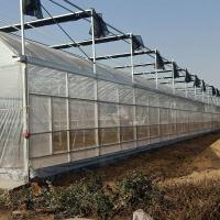 China Vegetable Agricultural Tomatoes Dome Roof 7-10m Span Po Film Greenhouse for sale