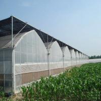 China Vegetable Agricultural Tomatoes Dome Roof 7-10m Span Po Film Greenhouse for sale