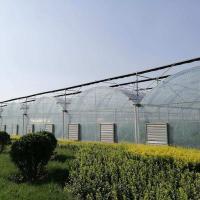 China 50meter Hot Galvanized Steel Pe Film Greenhouse Tomato Nuersery Seedling With Rolling Bench for sale