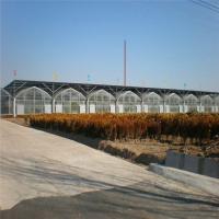 China 6 Foot 8 Foot Double Roof Arch Muliti Span Film Greenhouse Keep Warm For Tomatoes for sale