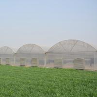 China 6 Foot 8 Foot Double Roof Arch Muliti Span Film Greenhouse Keep Warm For Tomatoes for sale